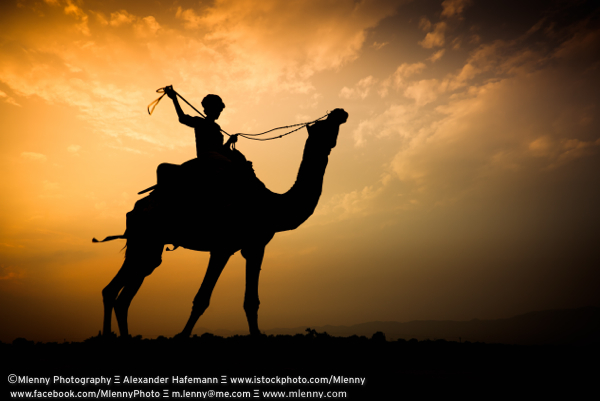 Sunset Camel Rider - Mlenny Photography Travel, Nature, People